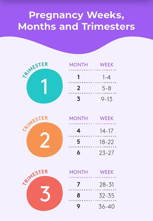 Πόσο μηνών είμαι πίνακας - Miss Webbie